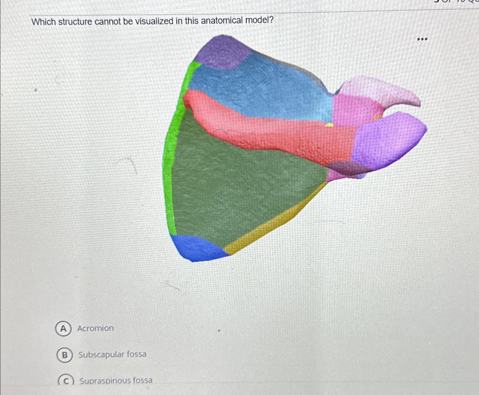Solved Which structure cannot be visualized in this | Chegg.com