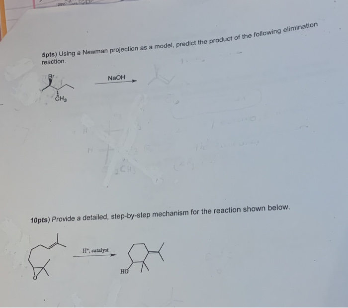 Solved 5pts) Provide a model (must use Newman projections) | Chegg.com