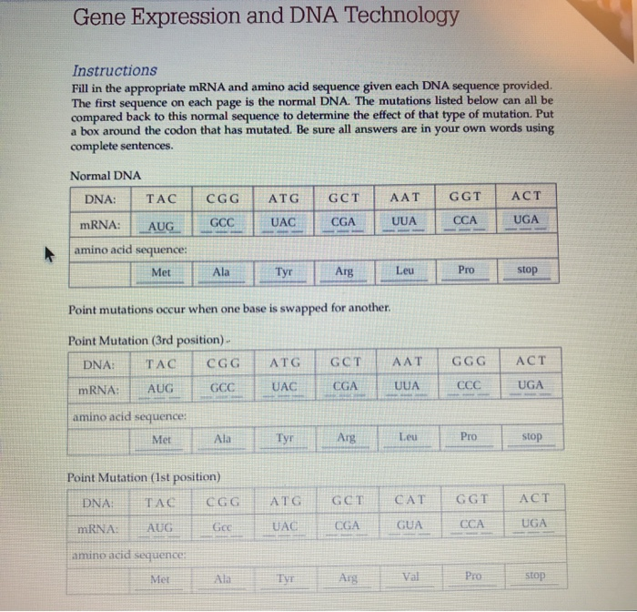 Solved Gene Expression and DNA Technology Instructions Fill | Chegg.com