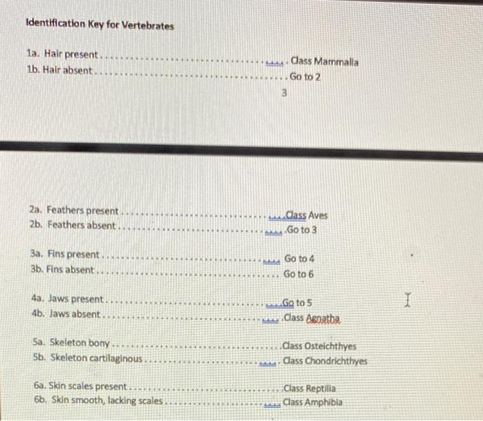 Solved Dichotomous Identification Keys Using the dichotomous | Chegg.com