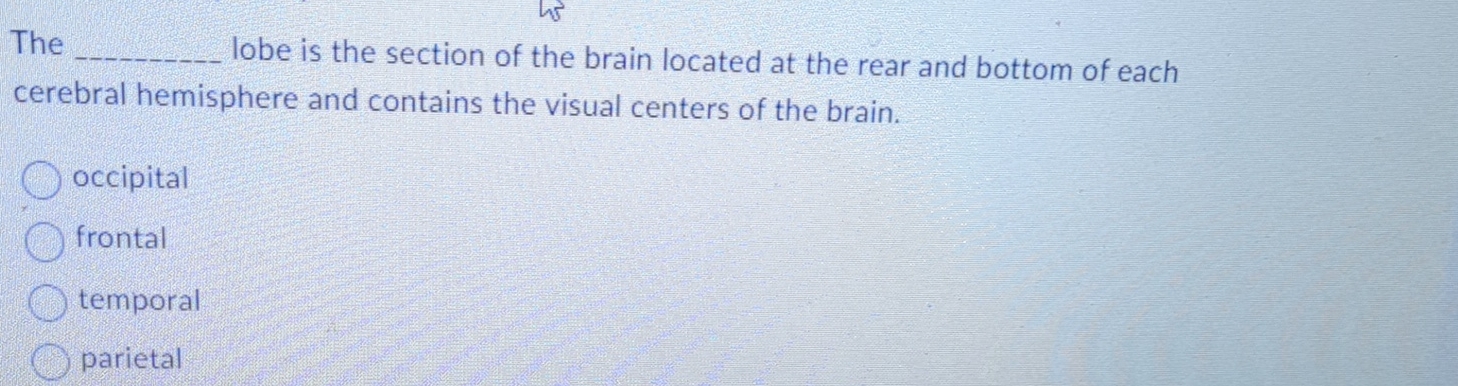 Solved The lobe is the section of the brain located at the | Chegg.com