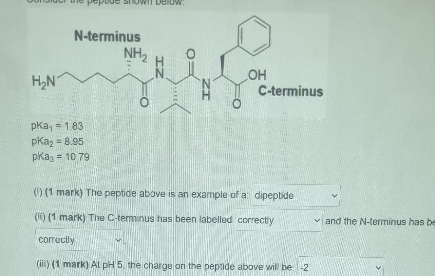 Solved N-terminus pKa1=1.83pKa2=8.95pKa3=10.79 (i) (1 mark) | Chegg.com