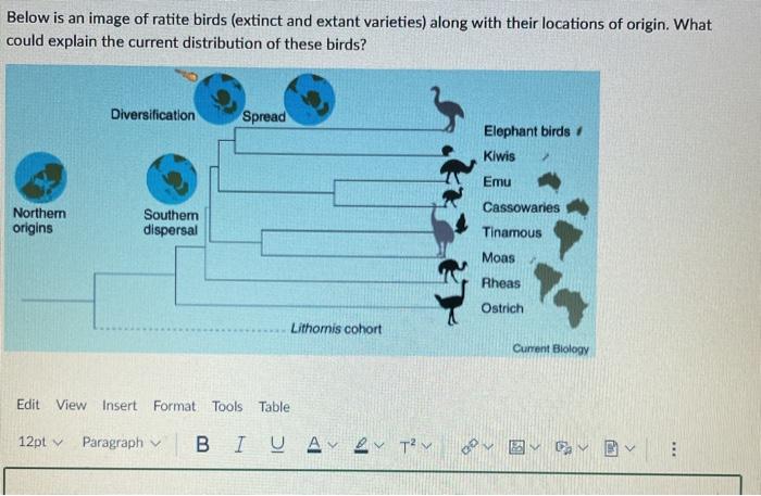 Solved Below is an image of ratite birds (extinct and extant | Chegg.com