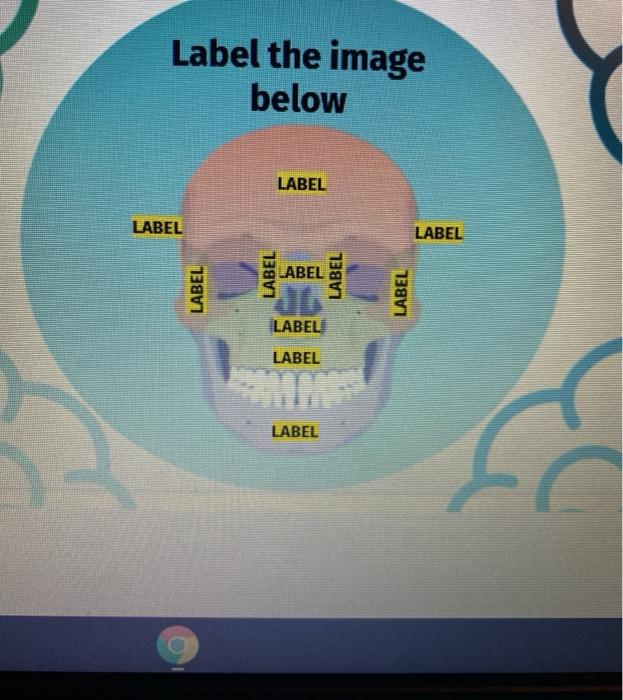 Solved Label the image below LABEL LABEL LABEL ឌី LABEL | Chegg.com