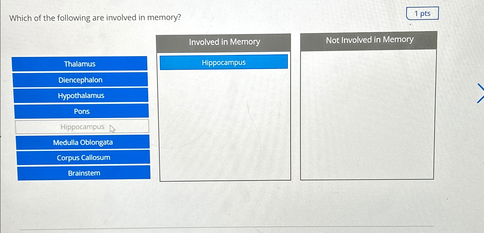 Solved Which of the following are involved in memory?1 ﻿pts | Chegg.com