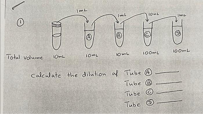 Solved Calculate the dilution of Tube (A) Tube (B) Tube (c) | Chegg.com