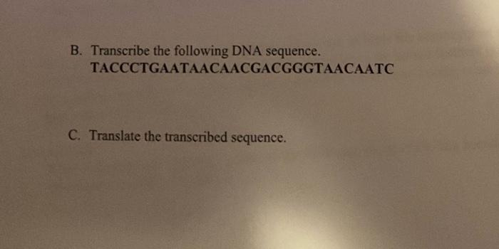 Solved B. Transcribe the following DNA sequence. | Chegg.com