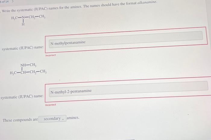 Solved Write the systematic (IUPAC) names for the amines. | Chegg.com