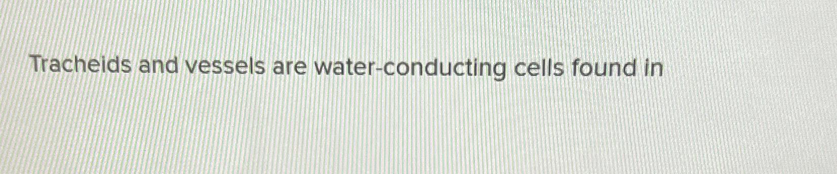 Solved Tracheids and vessels are water-conducting cells | Chegg.com