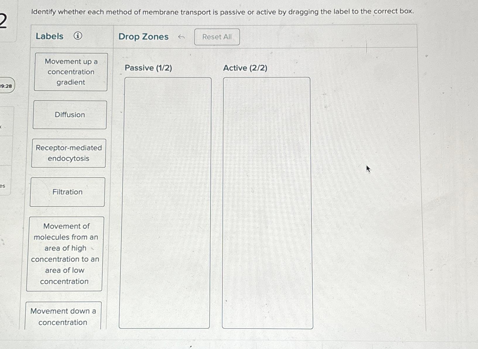 Solved Identify whether each method of membrane transport is | Chegg.com