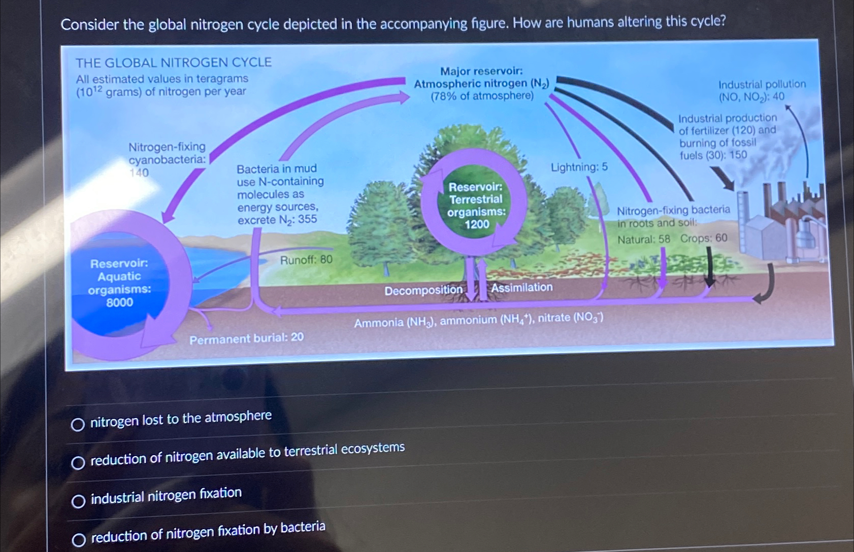 Solved Consider the global nitrogen cycle depicted in the | Chegg.com