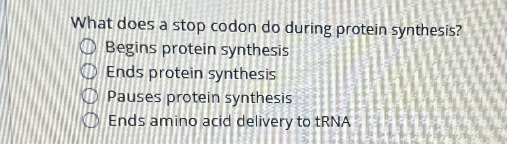 Solved What does a stop codon do during protein | Chegg.com