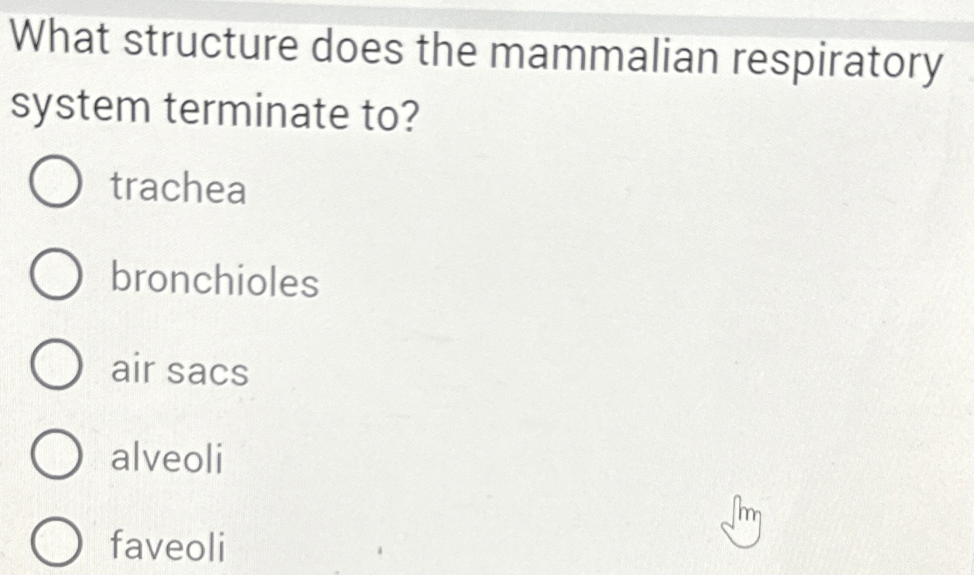 Solved What structure does the mammalian respiratory system | Chegg.com