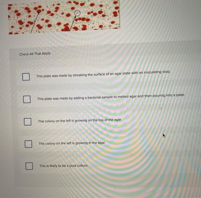 Solved Differentiating Between Surface and Subsurface | Chegg.com