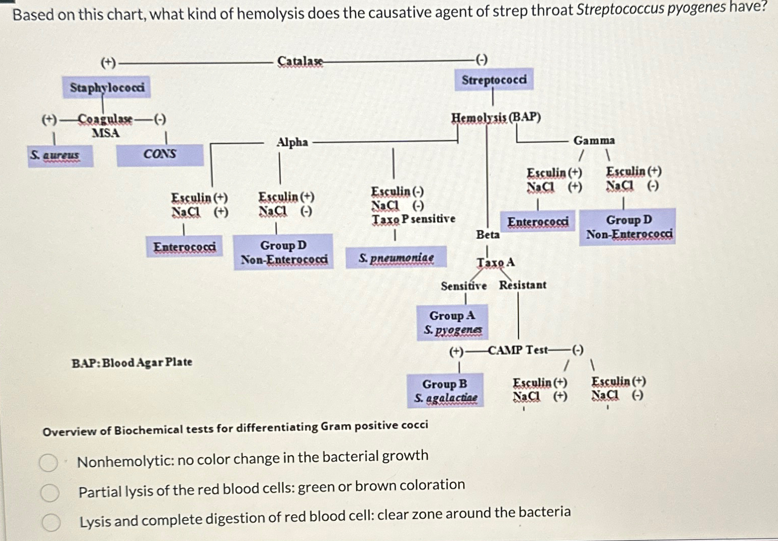 Solved Based on this chart, what kind of hemolysis does the | Chegg.com