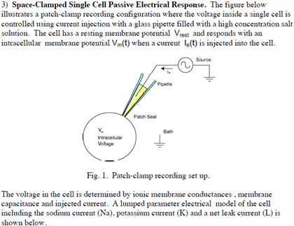 Space-Clamped Single Cell Passive Electrical | Chegg.com