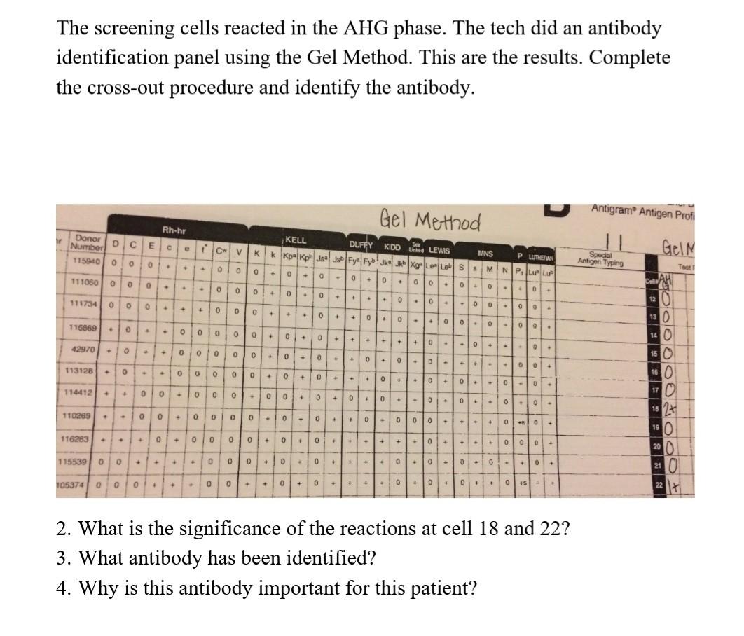 The screening cells reacted in the AHG phase. The | Chegg.com