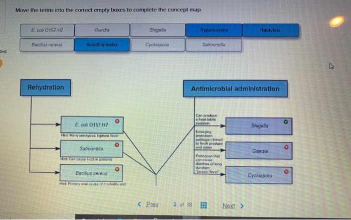 Solved Move the terms into the correct empty boxes to | Chegg.com