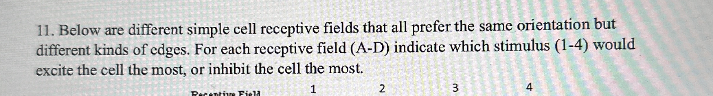 Solved Below are different simple cell receptive fields that | Chegg.com