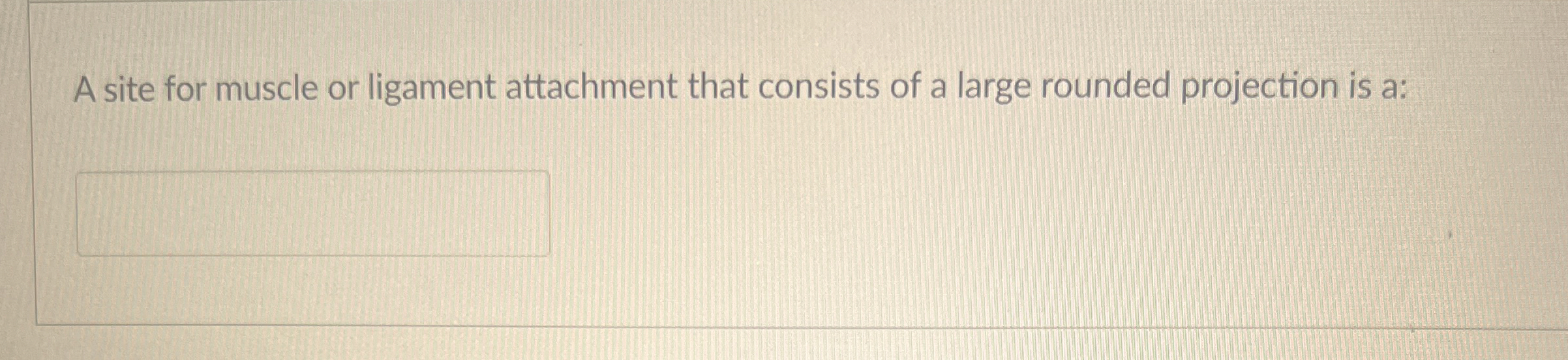 Solved A site for muscle or ligament attachment that | Chegg.com