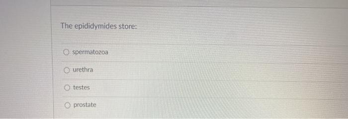 Solved D Question 13 If CRYPT-means hidden, what term could | Chegg.com