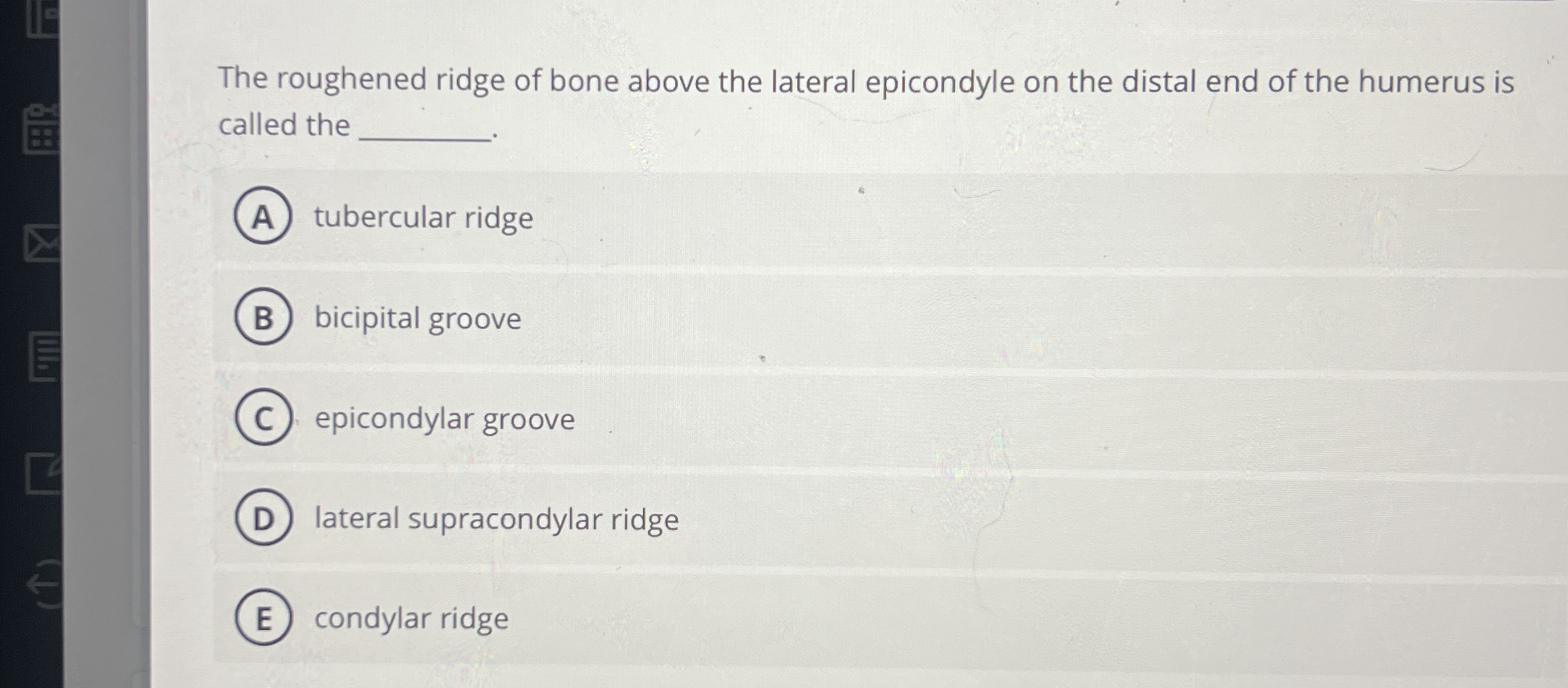 Solved The roughened ridge of bone above the lateral | Chegg.com