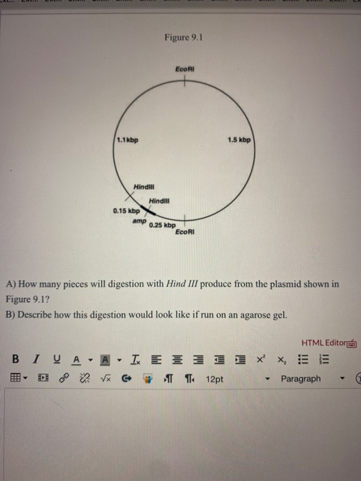 Solved Figure 9.1 EcoRI 1.1kbp 1.5 kbp Hindili Hindi 0.15 | Chegg.com