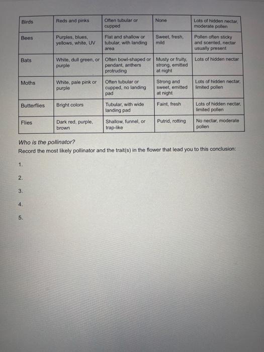 Analysis: To interpret data, it helps to visualize | Chegg.com