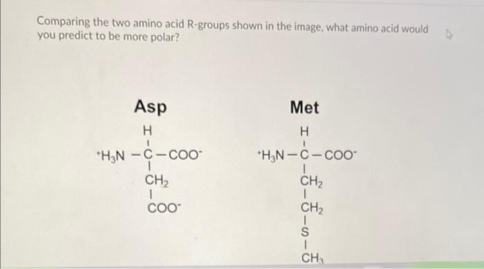 Solved Comparing the two amino acid R-groups shown in the | Chegg.com