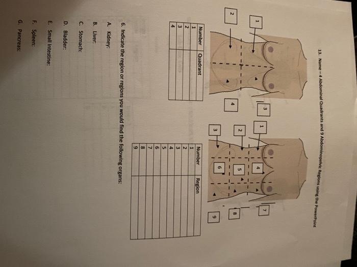 Solved 7. Short Story Incorporate the following terms into a | Chegg.com
