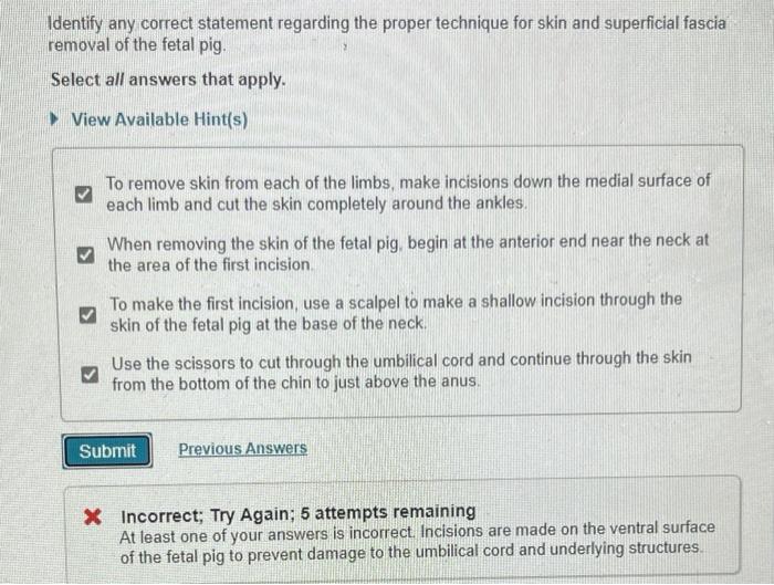 Solved Identify any correct statement regarding the proper | Chegg.com