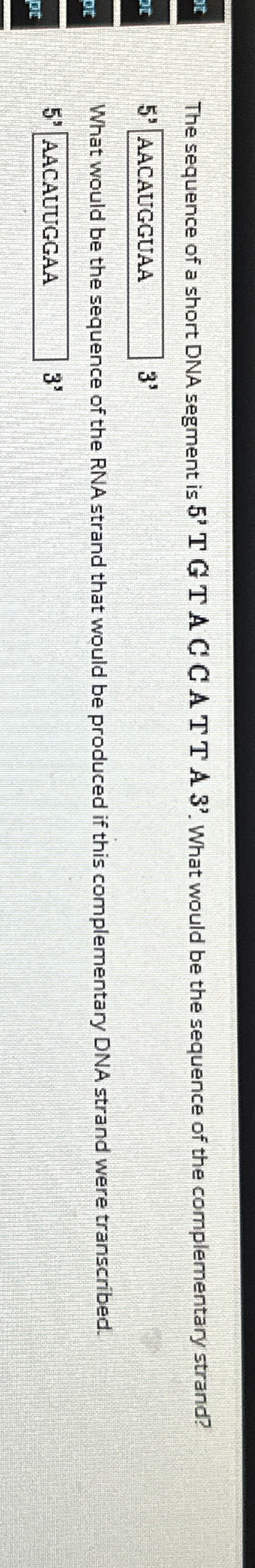 Solved The sequence of a short DNA segment is 5'T ﻿G A C A T | Chegg.com