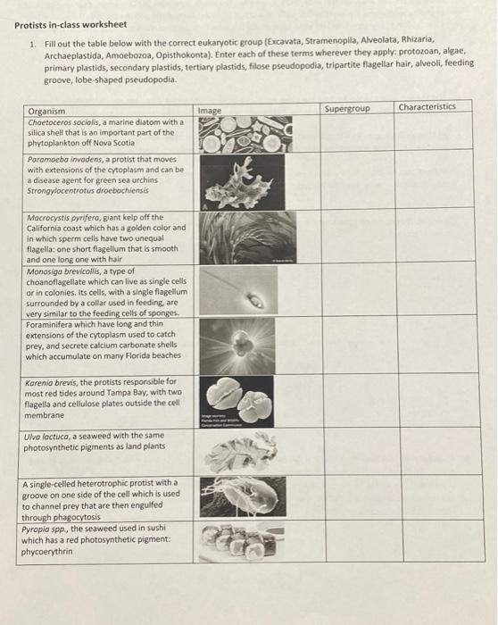 Protists in-class worksheet 1. Fill out the table | Chegg.com