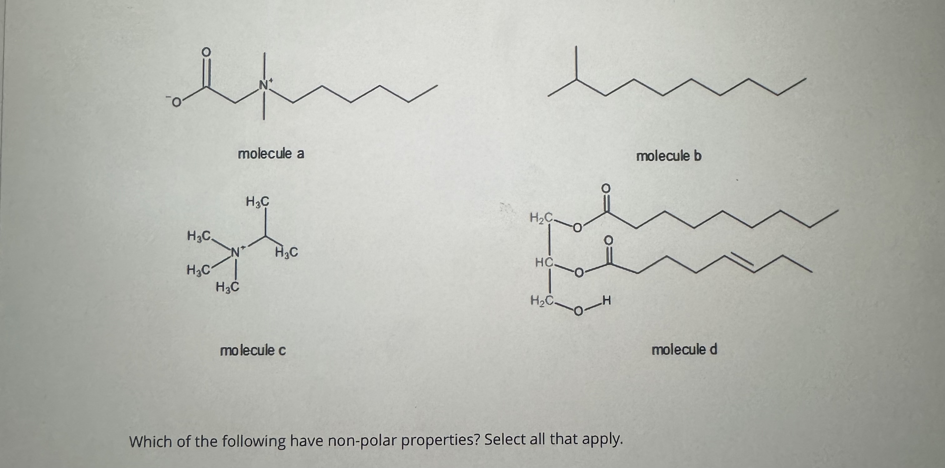 Solved molecule a molecule c molecule b morecule aWhich of | Chegg.com