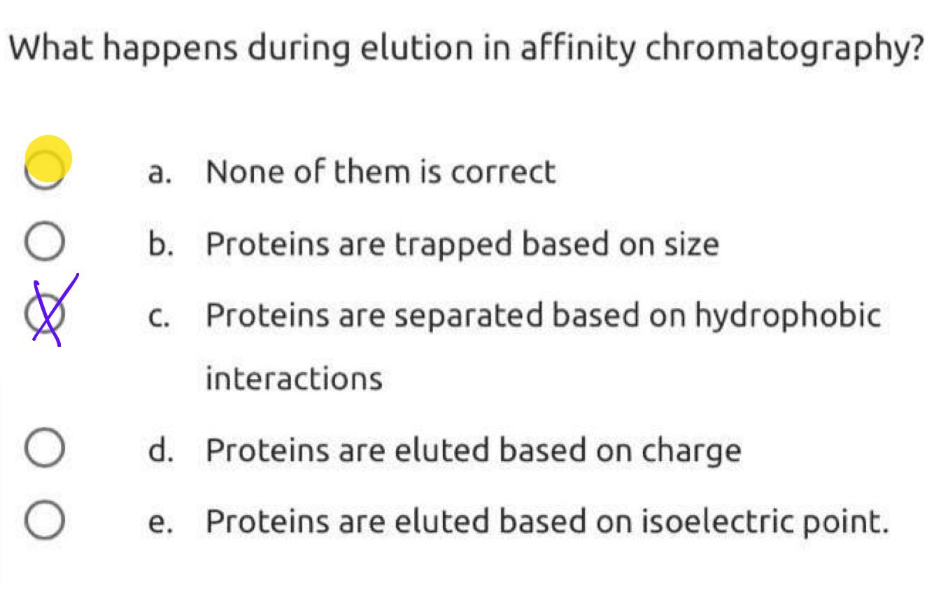 Solved What happens during elution in affinity | Chegg.com