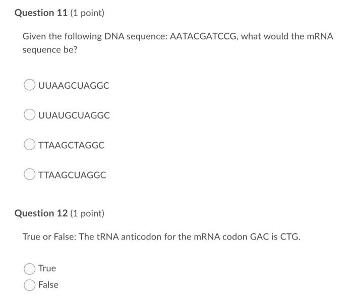 Solved Question 11 1 Point Given The Following Dna 