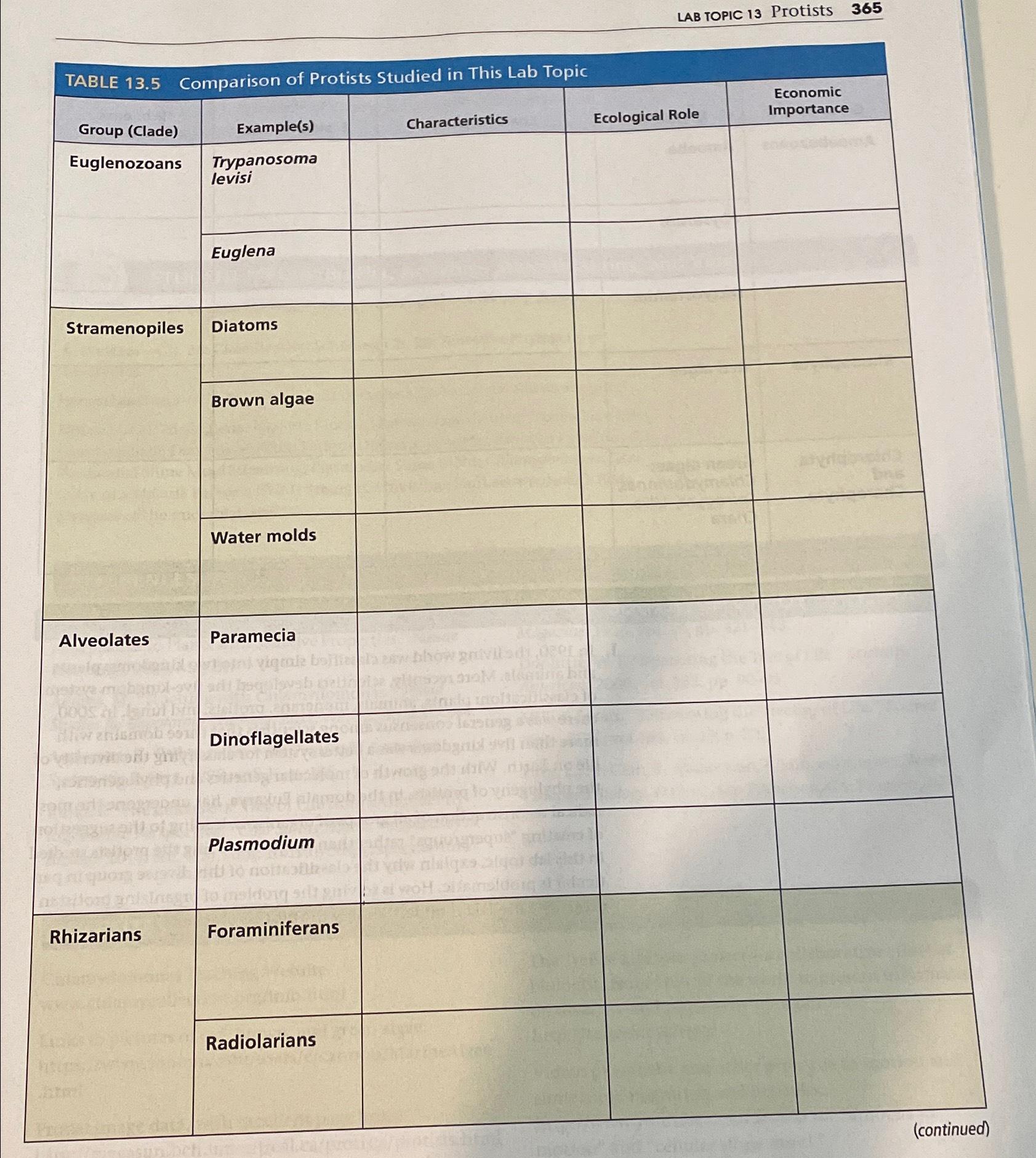 Solved LAB TOPIC 13 ﻿Protists365TABLE 13.5 ﻿Comparison of | Chegg.com