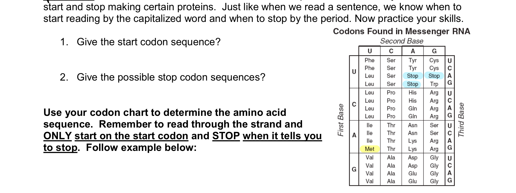 Solved start and stop making certain proteins. Just like | Chegg.com