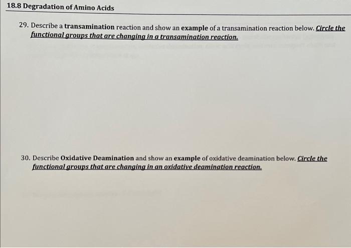 Solved 29. Describe a transamination reaction and show an | Chegg.com