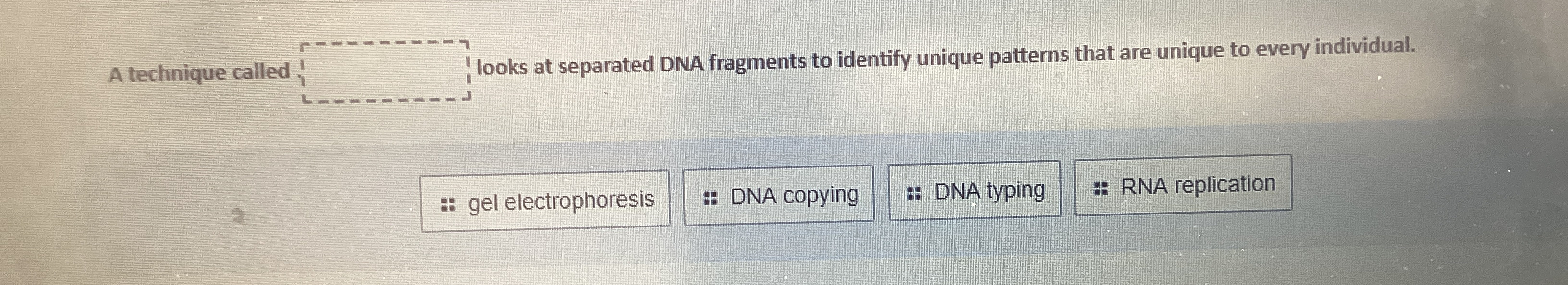 Solved A technique called; ﻿looks at separated DNA | Chegg.com