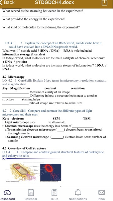 Solved Back STDGDCH4.docx What served as the steaming hot | Chegg.com