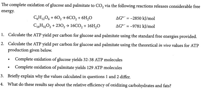 Solved The complete oxidation of glucose and palmitate to | Chegg.com