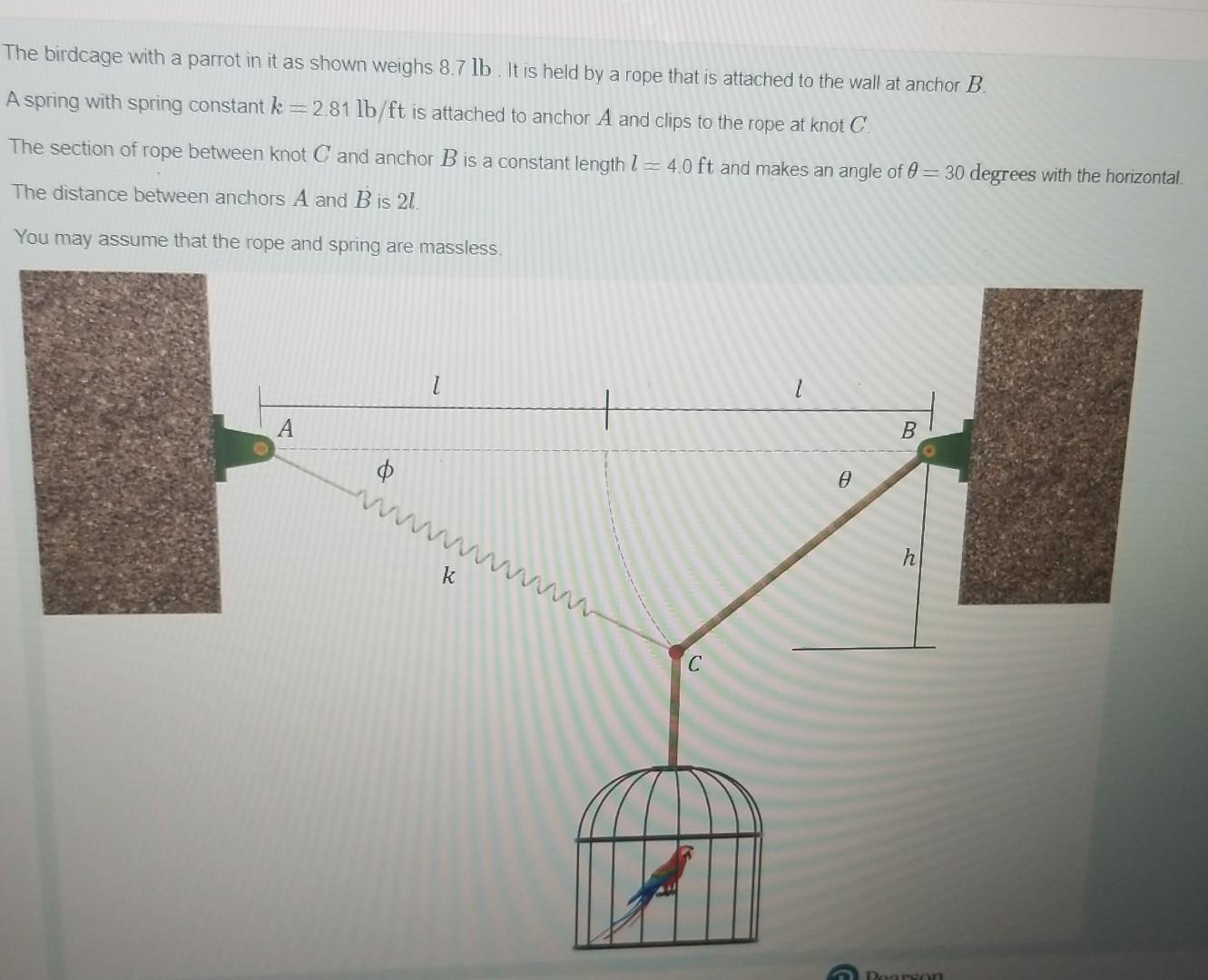 Solved The birdcage with a parrot in it as shown weighs | Chegg.com