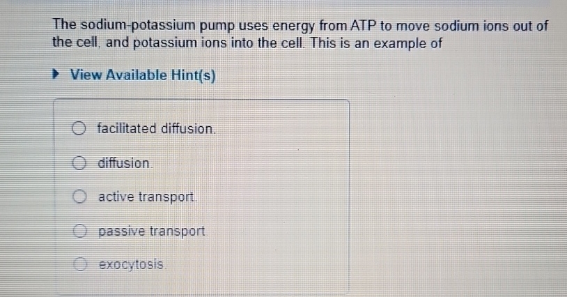 Solved The sodium-potassium pump uses energy from ATP to | Chegg.com