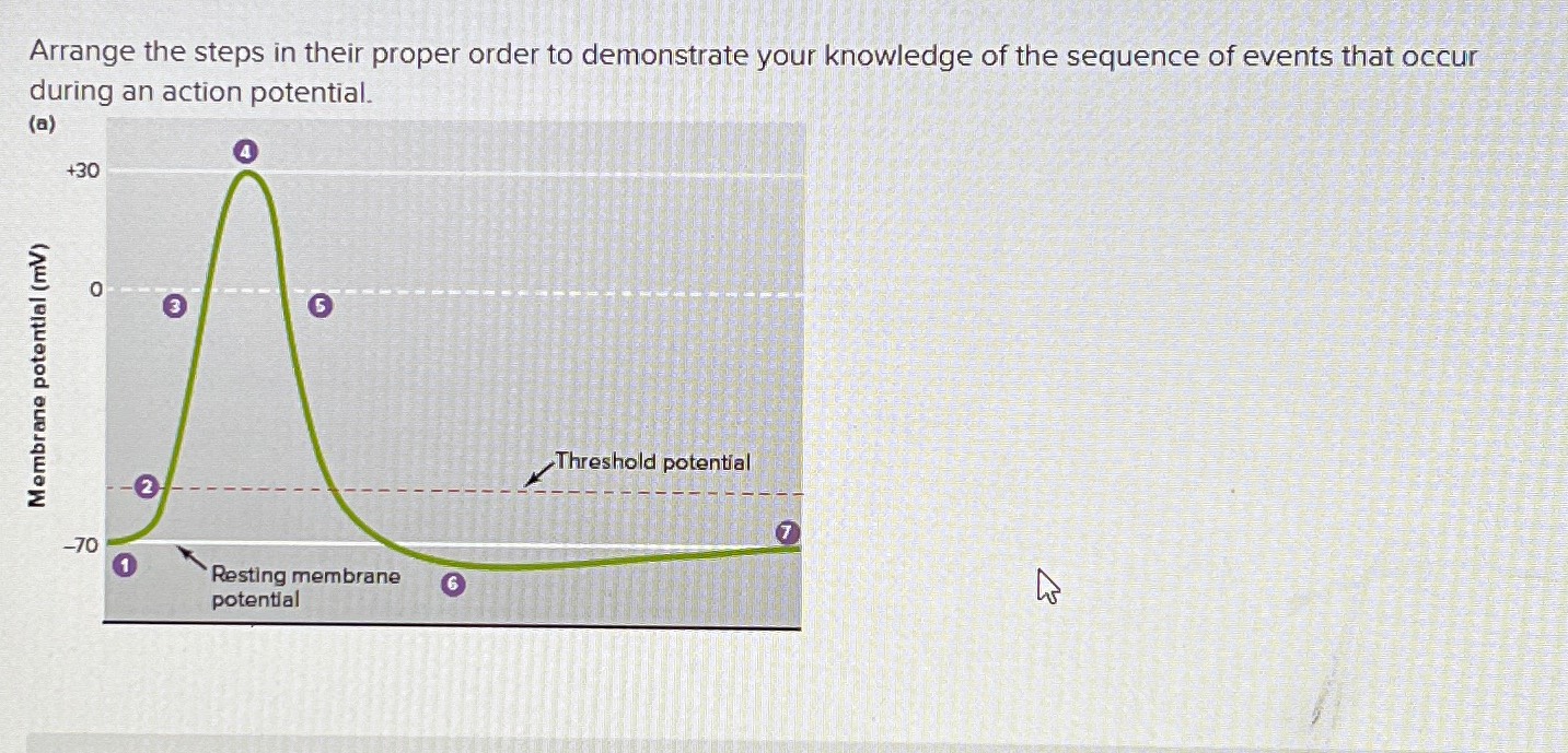 Solved Arrange the steps in their proper order to | Chegg.com
