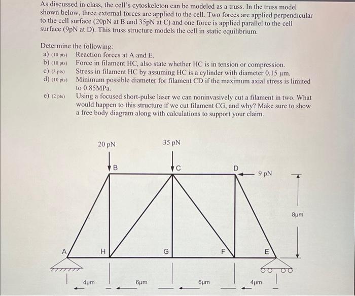 Solved As discussed in class, the cell's cytoskeleton can be | Chegg.com