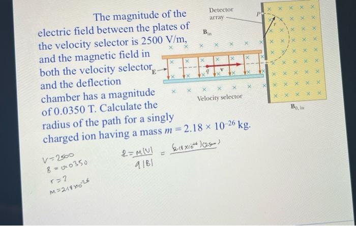Solved \\( m=2.18 \\times 10^{-26} \\mathrm{~kg} \\) | Chegg.com