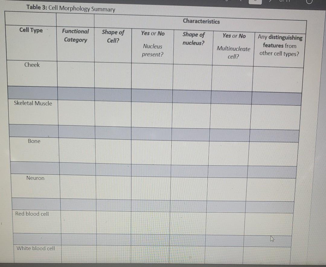 Solved Table 3: Cell Morphology Summary Characteristics Cell | Chegg.com