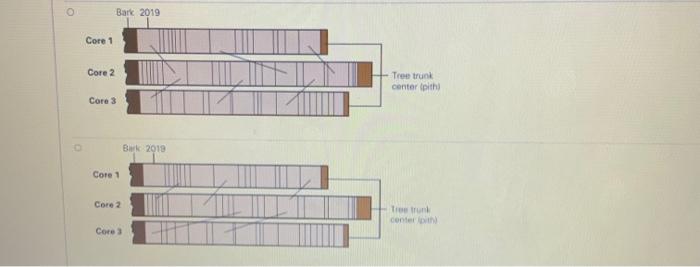 Solved Tree Ring Cores as Indicators of Local Climate The | Chegg.com