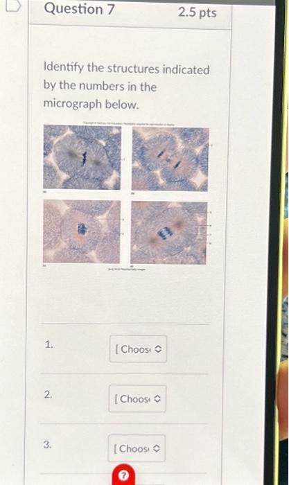 Solved Identify the structures indicated by the numbers in | Chegg.com